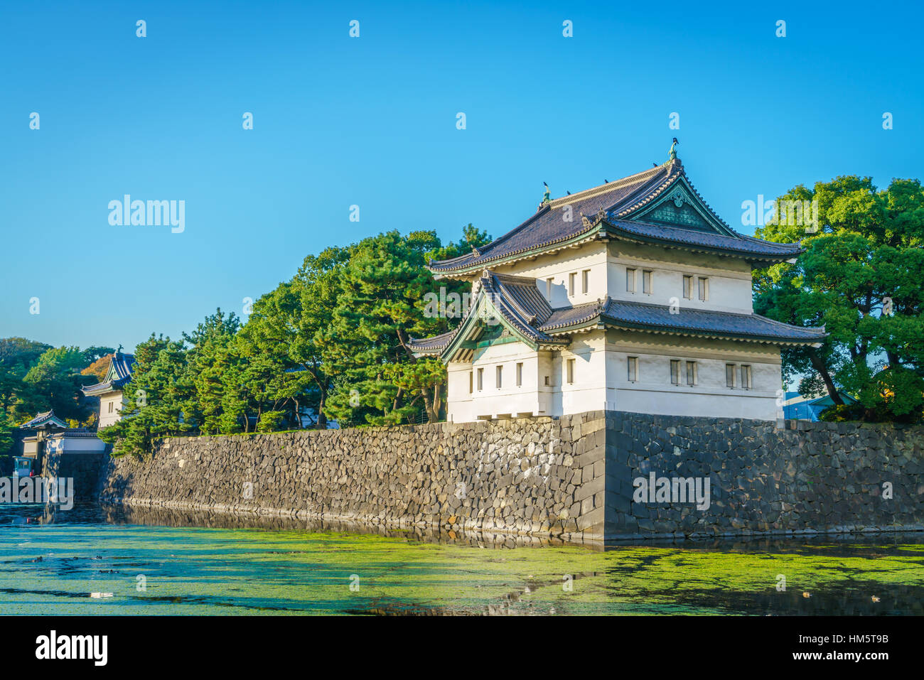 Beautiful Imperial Palace in Tokyo, japan Stock Photo - Alamy