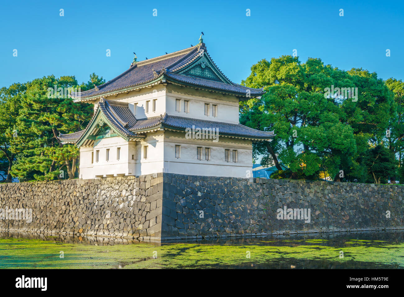 Beautiful Imperial Palace in Tokyo, japan Stock Photo - Alamy