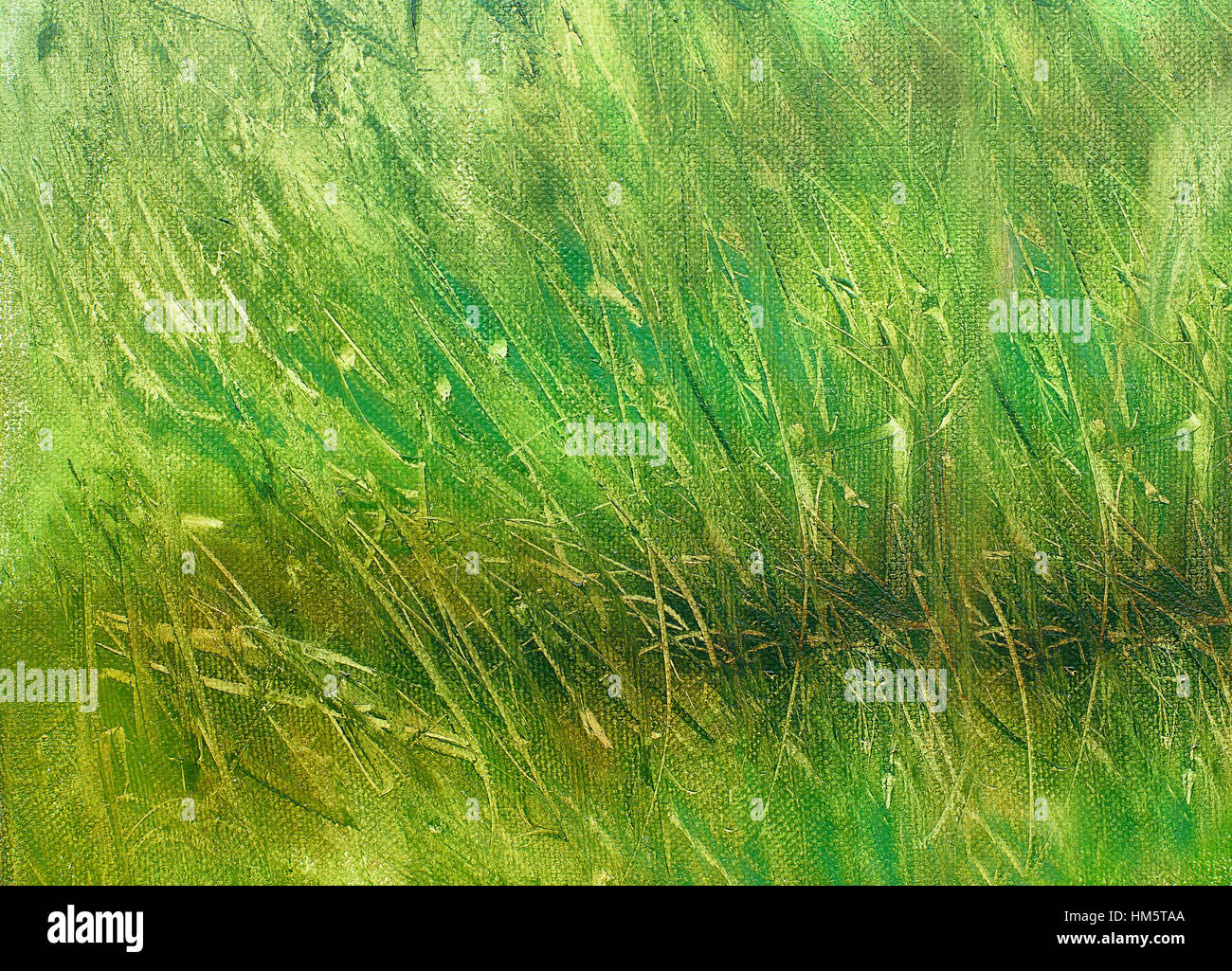 wild meadow grass structure in bright green tones, painting detail ...