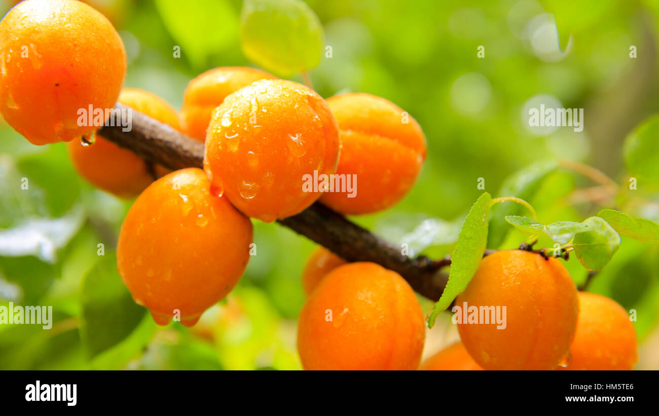 Aesthetic moon hi-res stock photography and images - Alamy