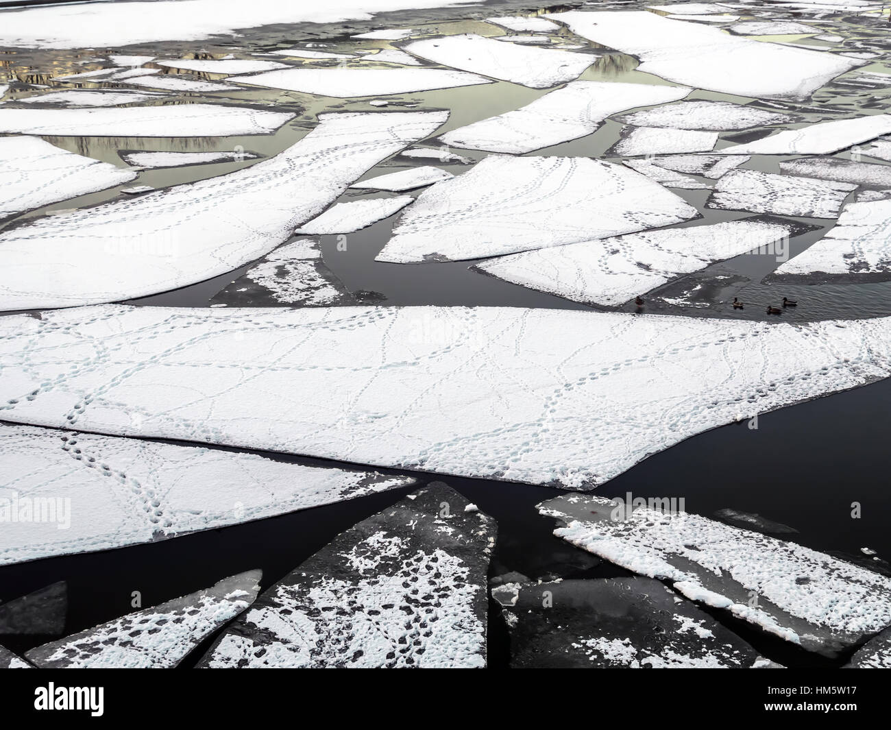 Chunks of ice floe floating on the river Stock Photo - Alamy