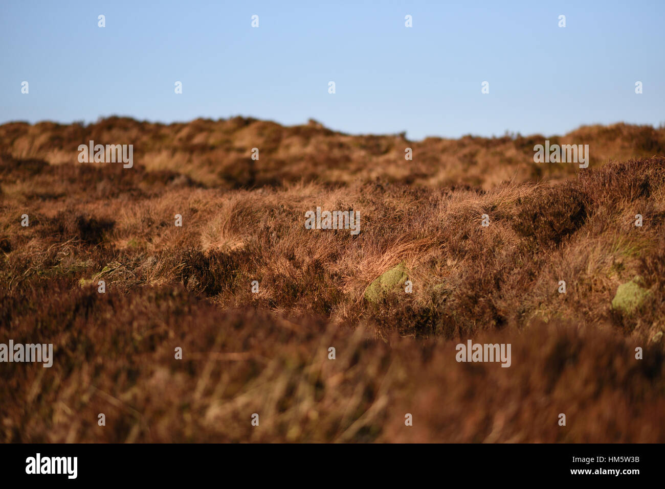 Irish moors hi-res stock photography and images - Alamy