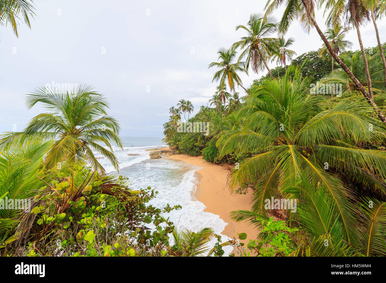 Playa manzanillo costa rica hi-res stock photography and images - Alamy