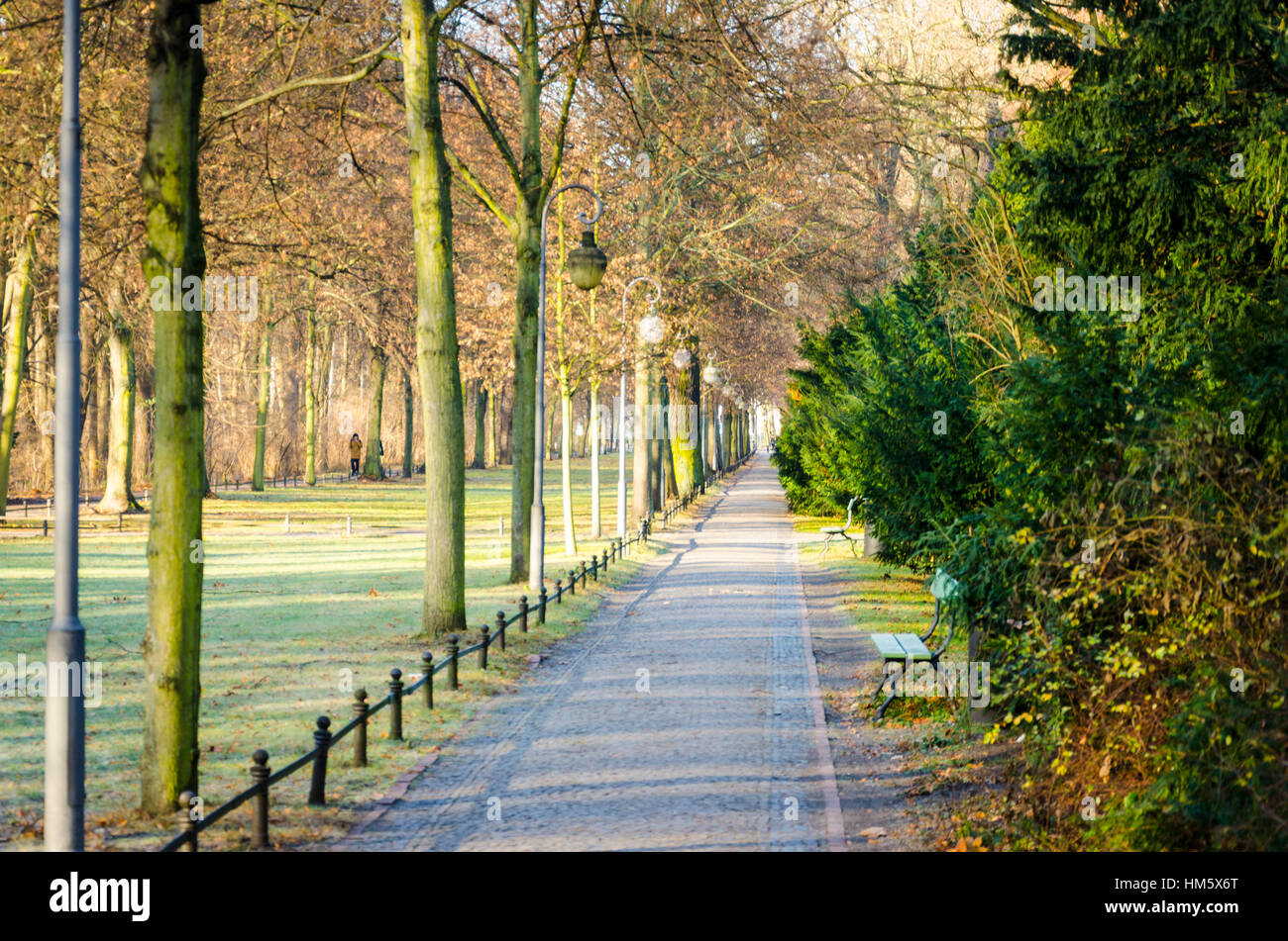 Tiergarten, central city garden in Berlin, Germany Stock Photo - Alamy