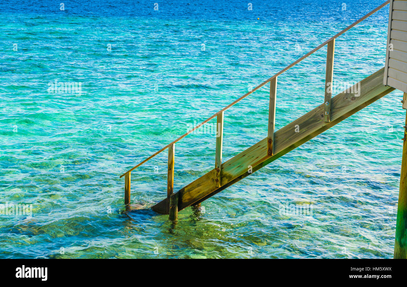 Wood stair into the sea of tropical Maldives island Stock Photo - Alamy