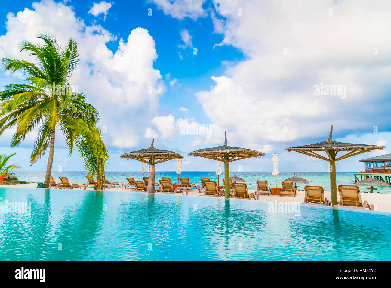 Swimming pool bar in tropical Maldives island Stock Photo - Alamy