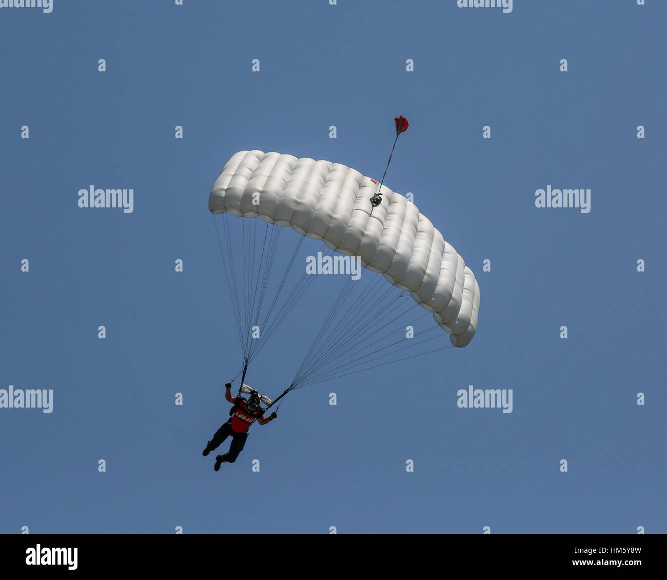 Lucas Oil Jump Team Skydiver Stock Photo - Alamy