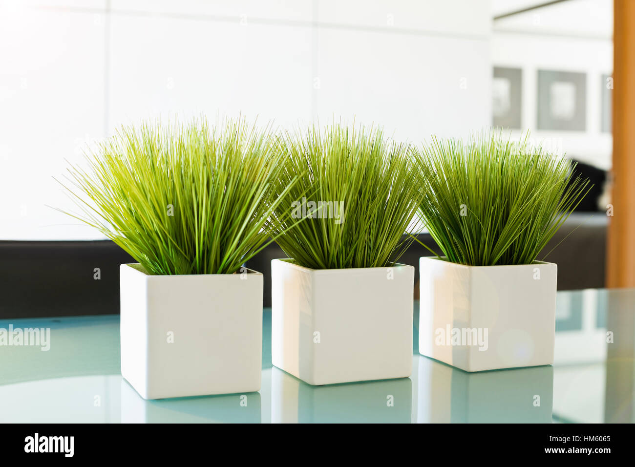 Flower pots on table Stock Photo - Alamy