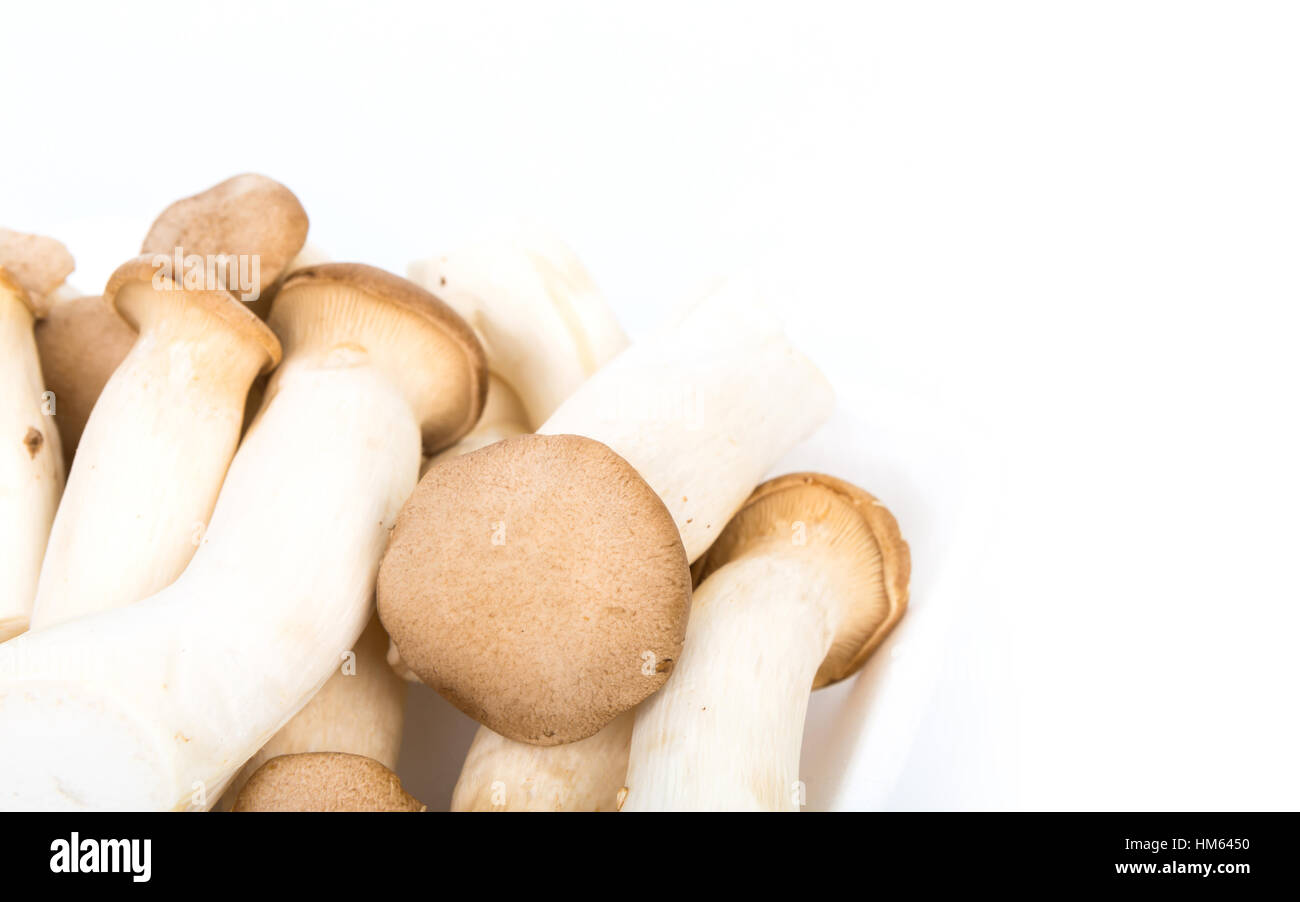 King Oyster mushrooms eringi on White Background Stock Photo - Alamy