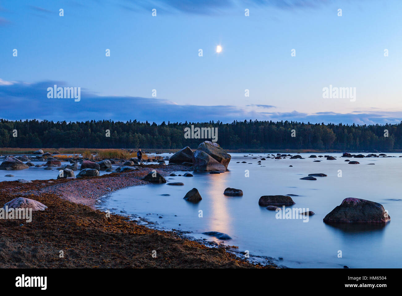 Beach rocks moonlit hi-res stock photography and images - Alamy