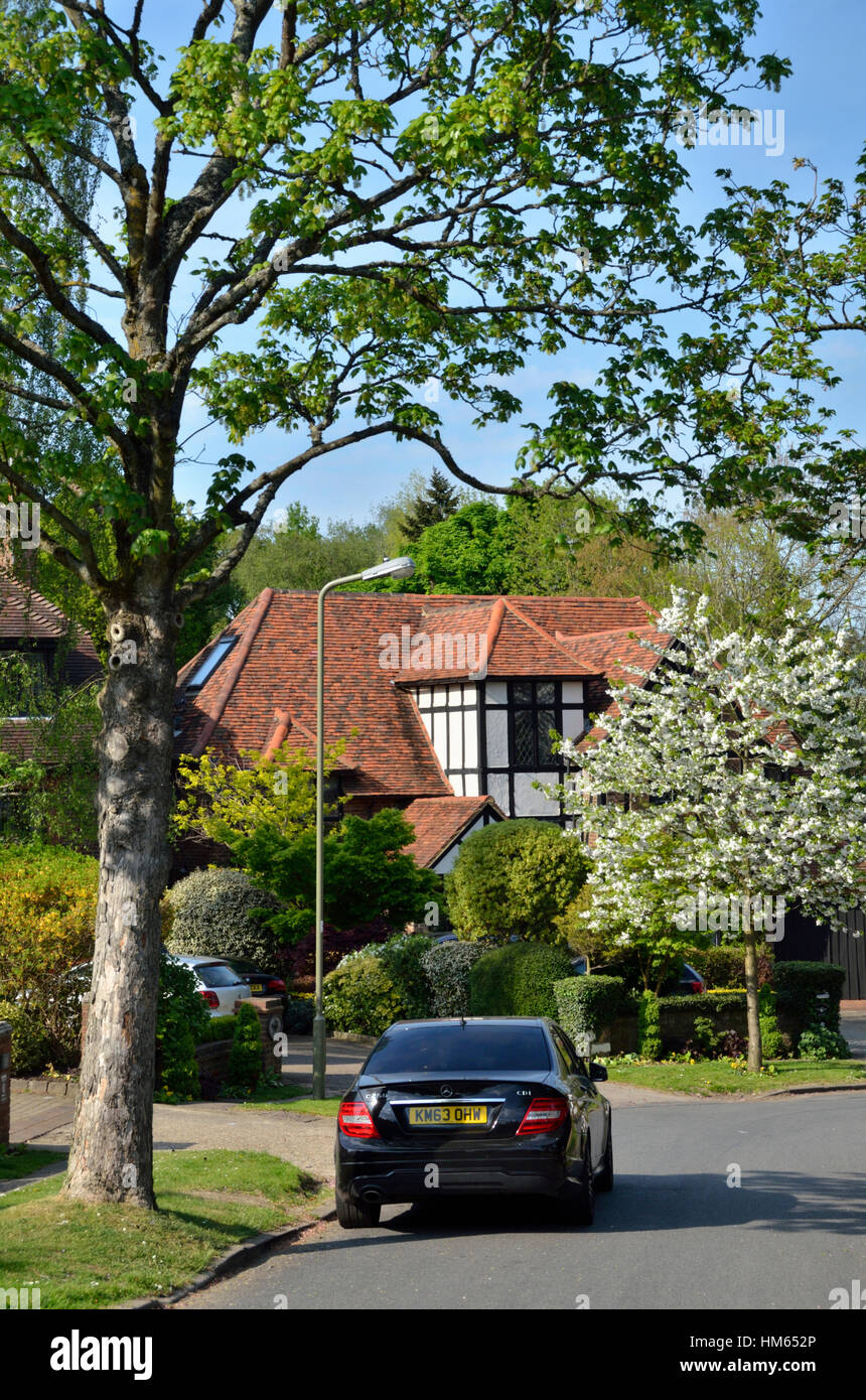 Northcliffe hi-res stock photography and images - Alamy