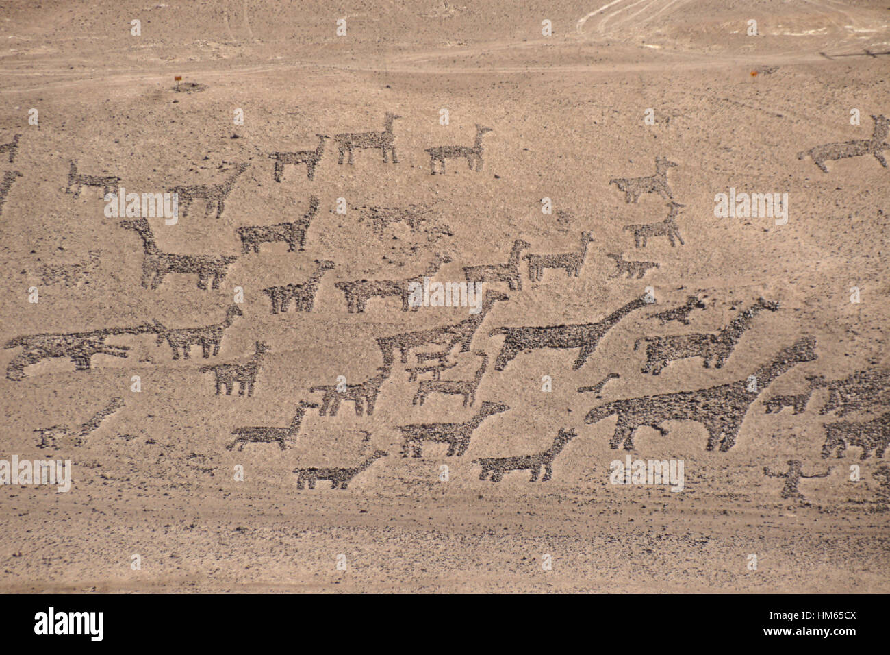 Tiliviche geoglyphs on hillside, Atacama Desert, Norte Grande, Chile ...