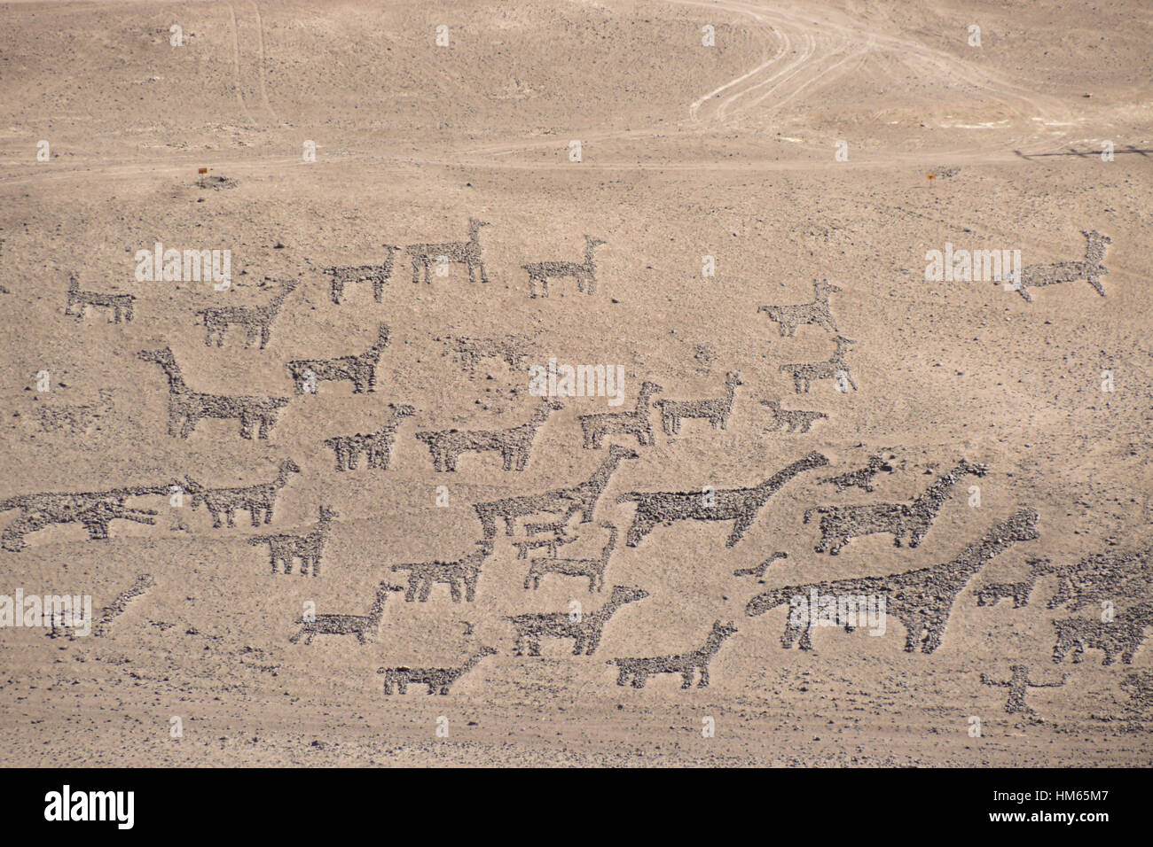 Tiliviche geoglyphs on hillside, Atacama Desert, Norte Grande, Chile ...