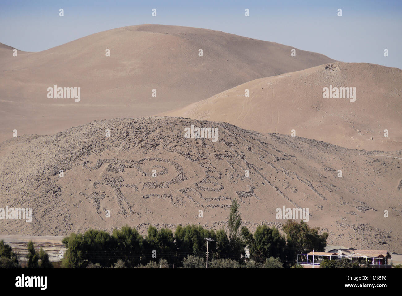 Cerro Sagrado geoglyphs in Azapa Valley, Arica, Atacama Desert, Norte ...