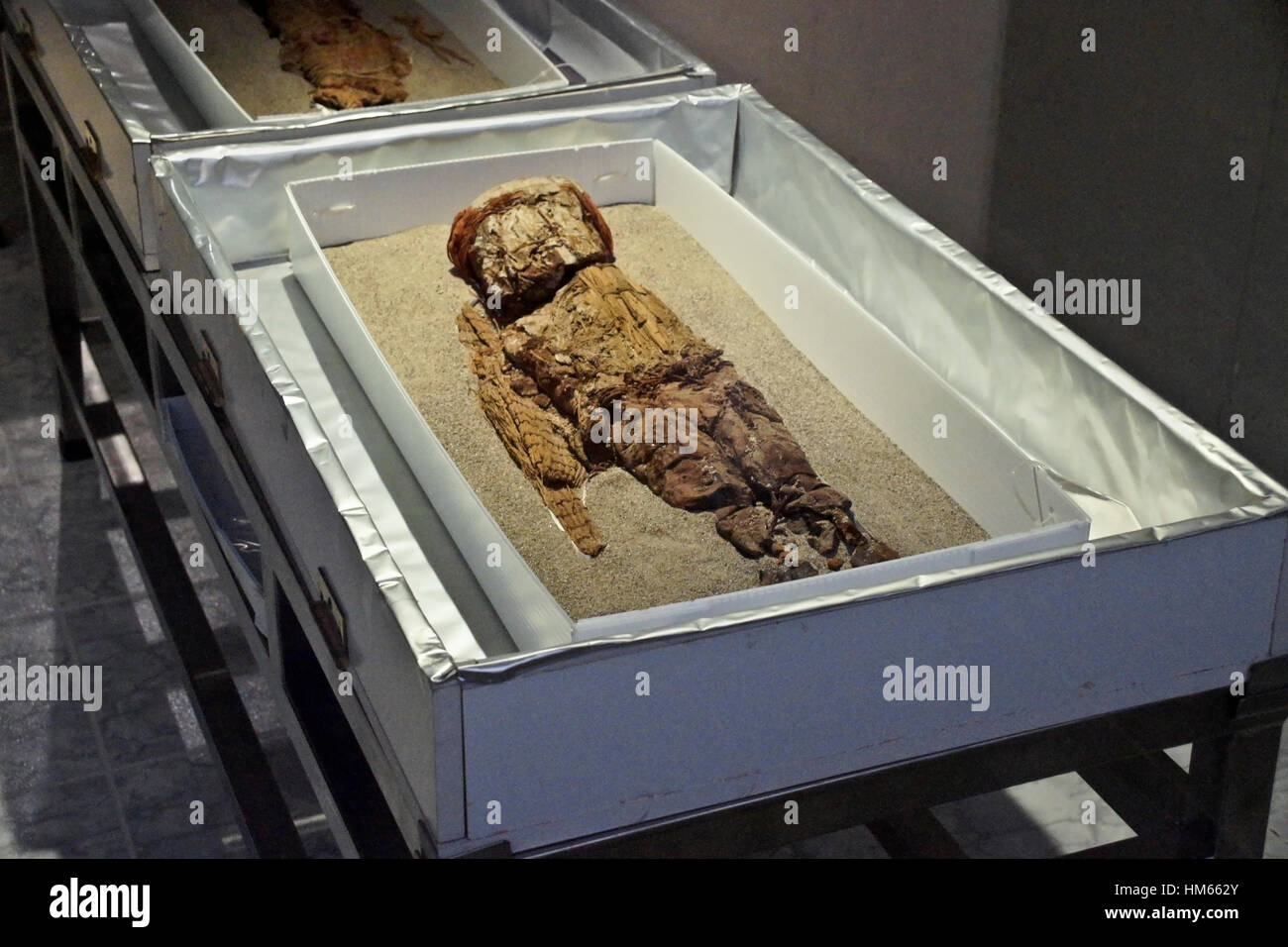 Chinchorro Mummies at San Miguel de Azapa Archaeological Museum, Arica ...