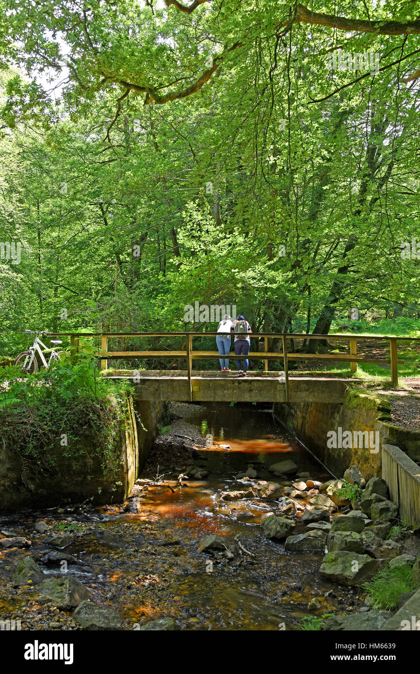 Girls on bridge over Highland water stream, New Forest National Park ...