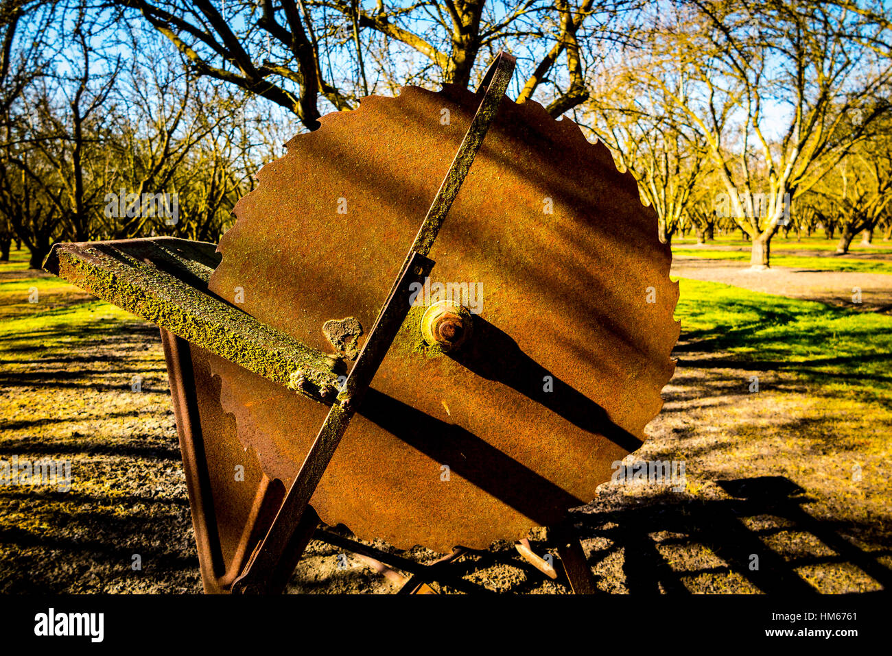 A rusty antique circular saw on a California farm Stock Photo - Alamy