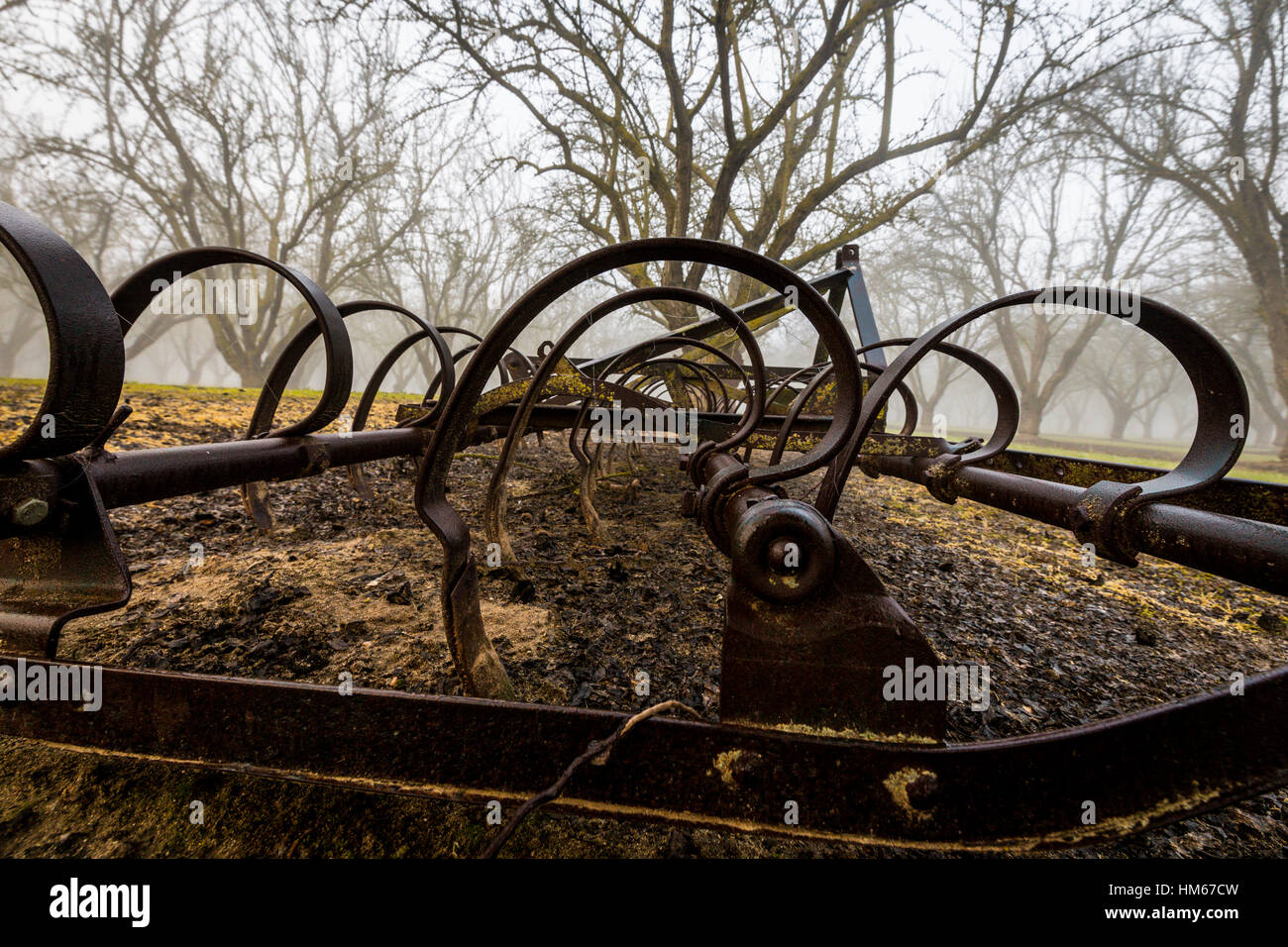 Antique farm implements on an almond farm in California's Central ...