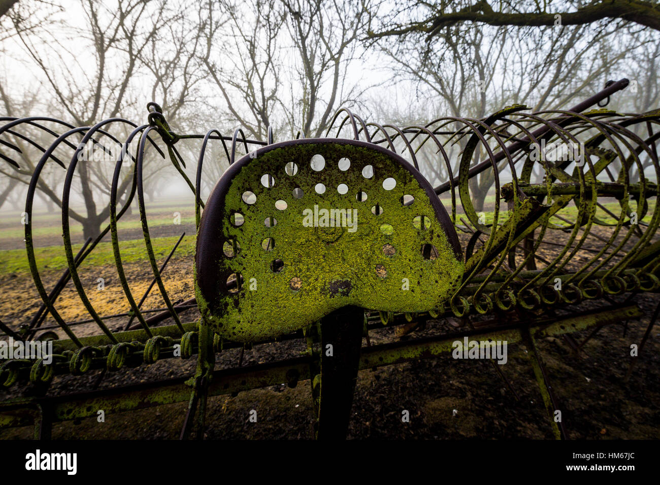 Antique farm implements on an almond farm in California's Central ...