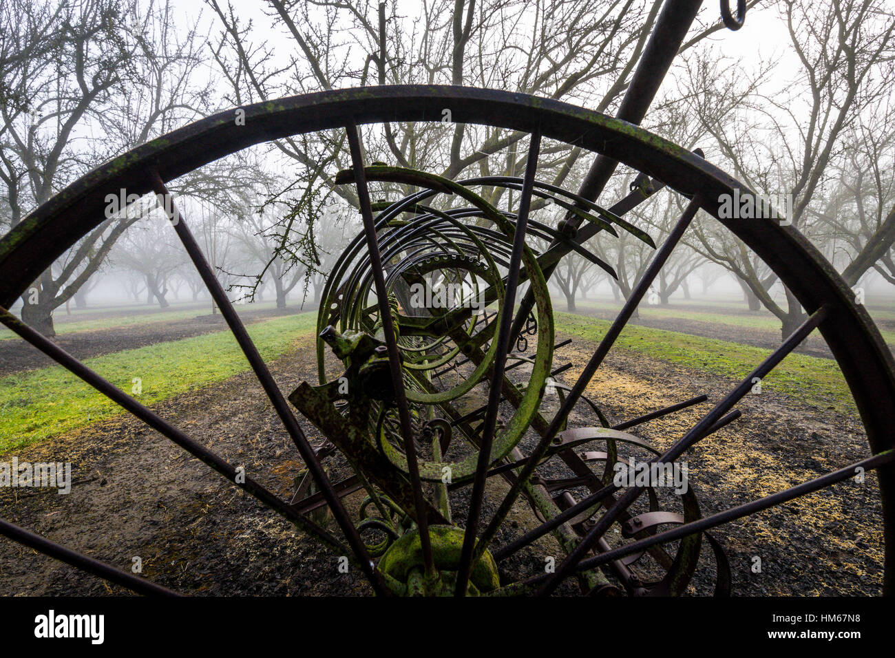 Antique farm implements on an almond farm in California's Central ...