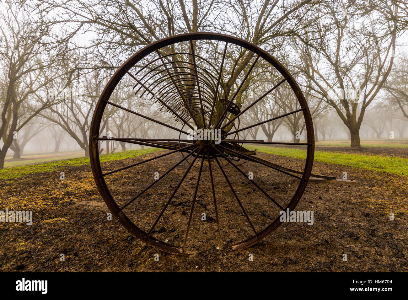 Antique farm implements on an almond farm in California's Central ...