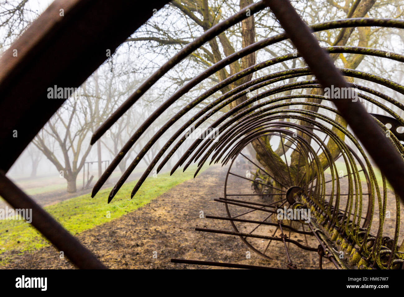 Antique farm implements on an almond farm in California's Central ...