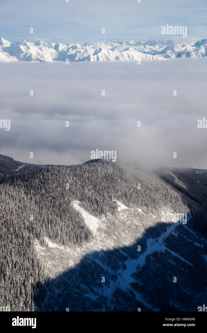 Aerial winter view of clear cut logging; Esplanade Range; sub-range of ...