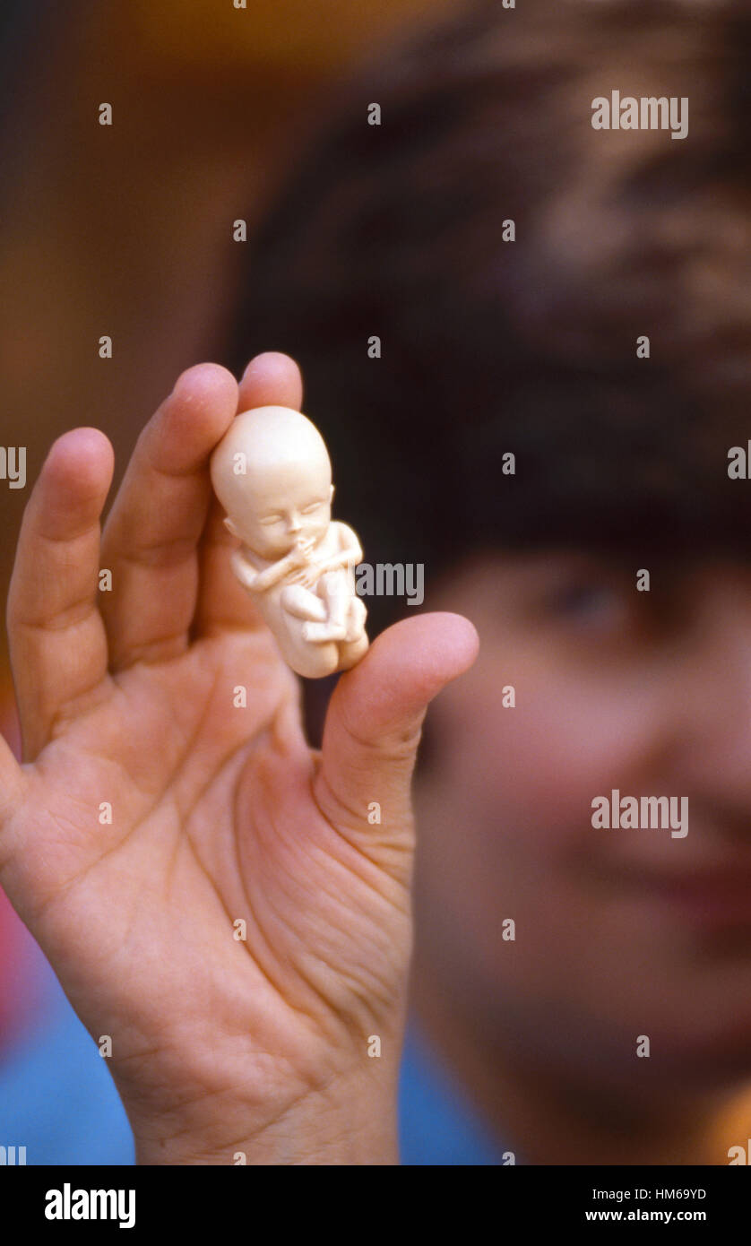 Pro Life Baby In Womb