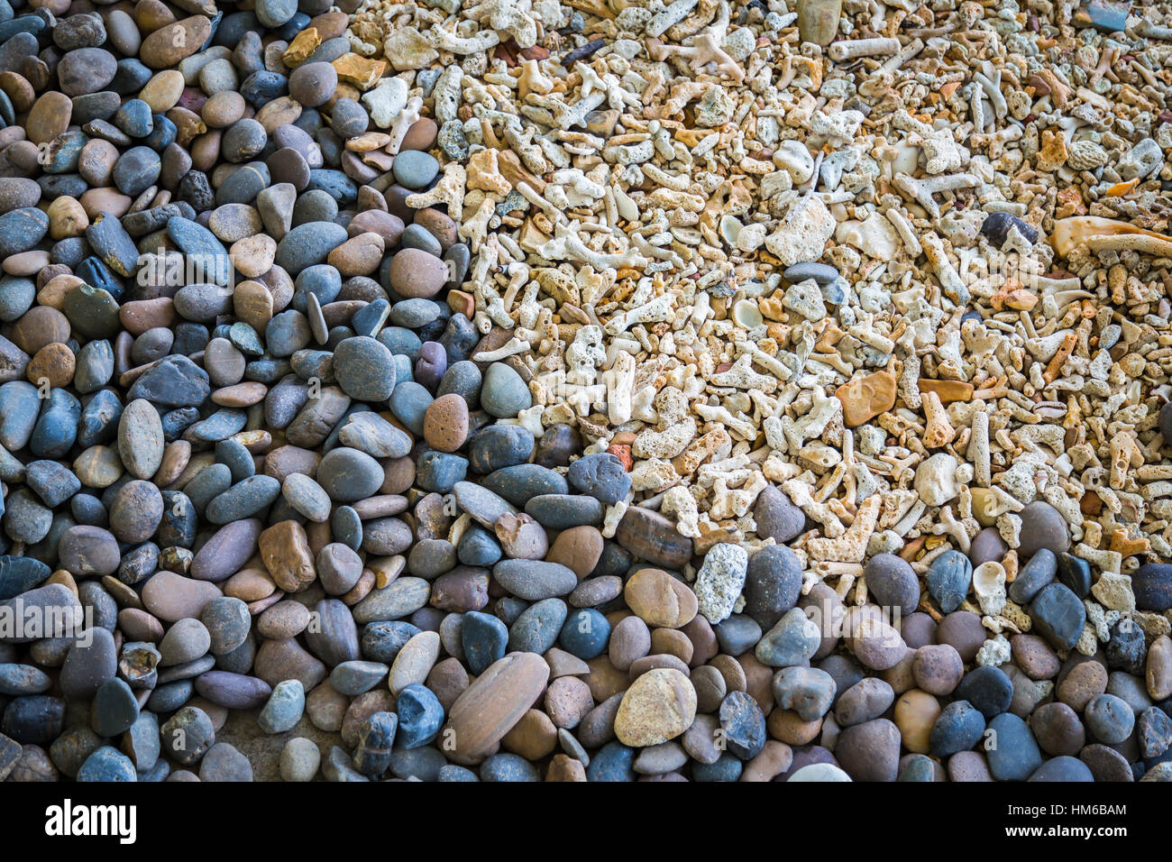 Coral and rock Stock Photo - Alamy