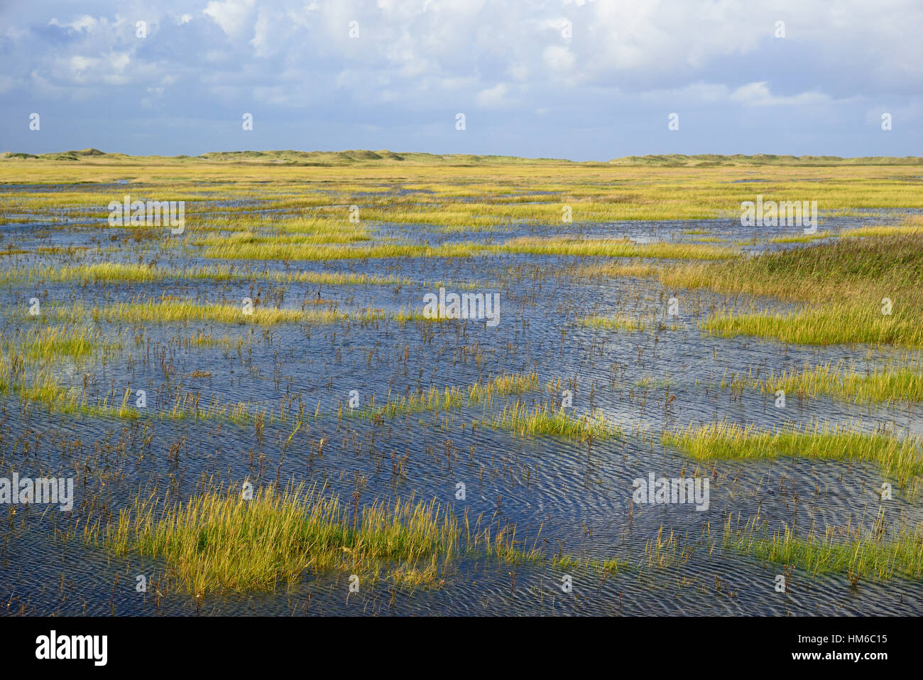 Coastal flooding plain hi-res stock photography and images - Alamy