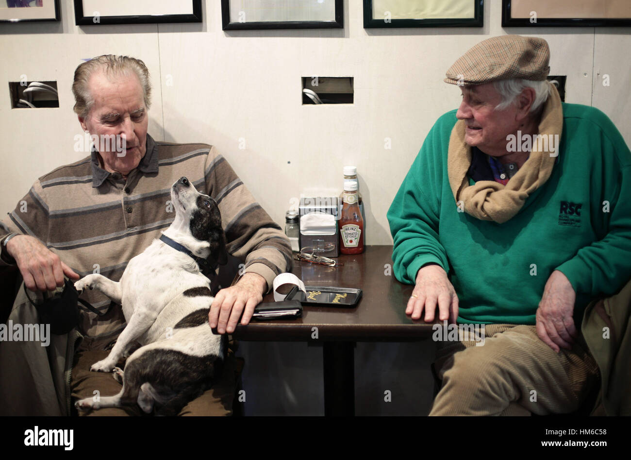 Morris, a six year-old Jack Russell sat on his owner Fred Davies lap ...
