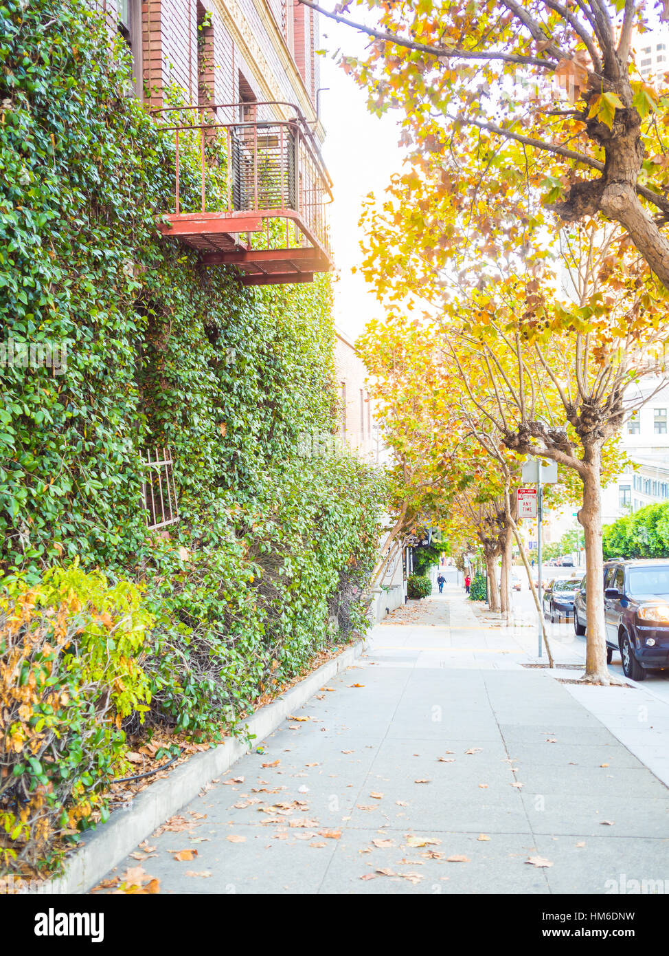 Roadside street view Stock Photo - Alamy