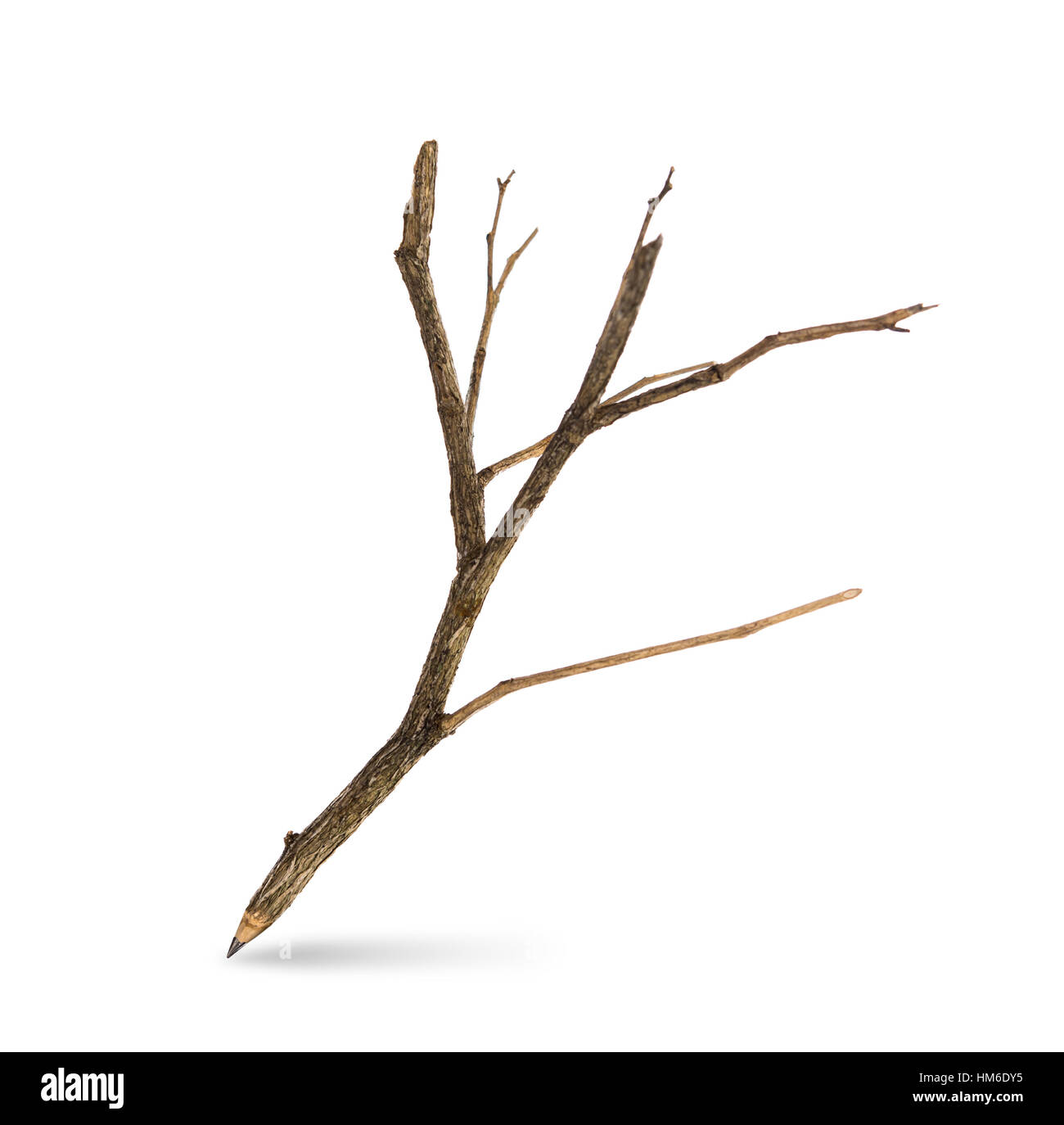 Pencil tree shaped on white background Stock Photo - Alamy