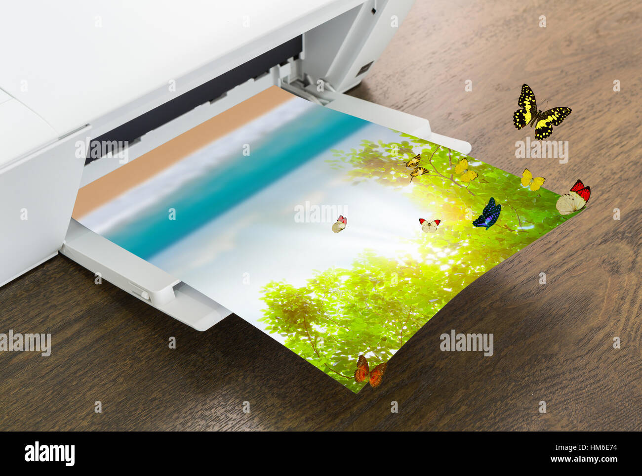 Printer with green leaf and butterfly , Summer time Stock Photo - Alamy