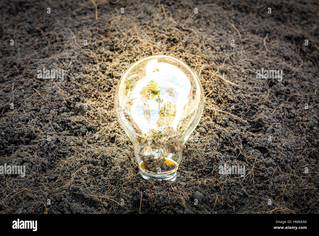 Eco friendly earth in light bulb Stock Photo - Alamy