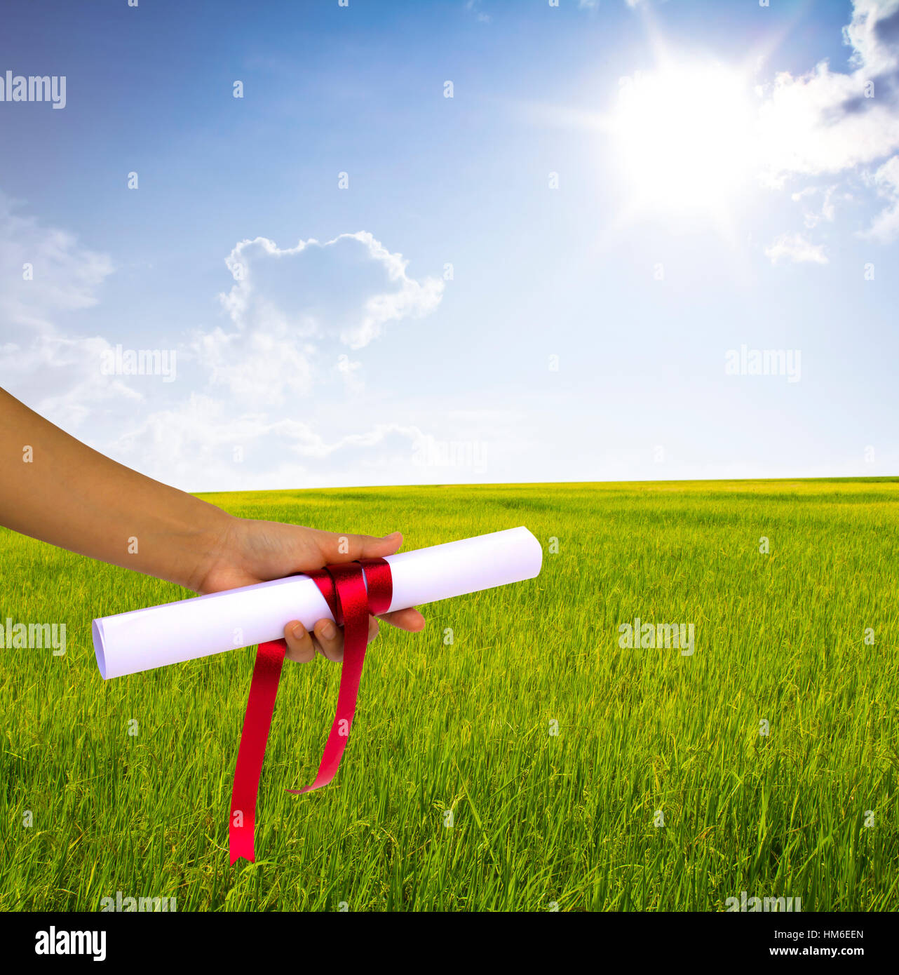 Hand holding Diploma wrapped with a red ribbon Stock Photo - Alamy