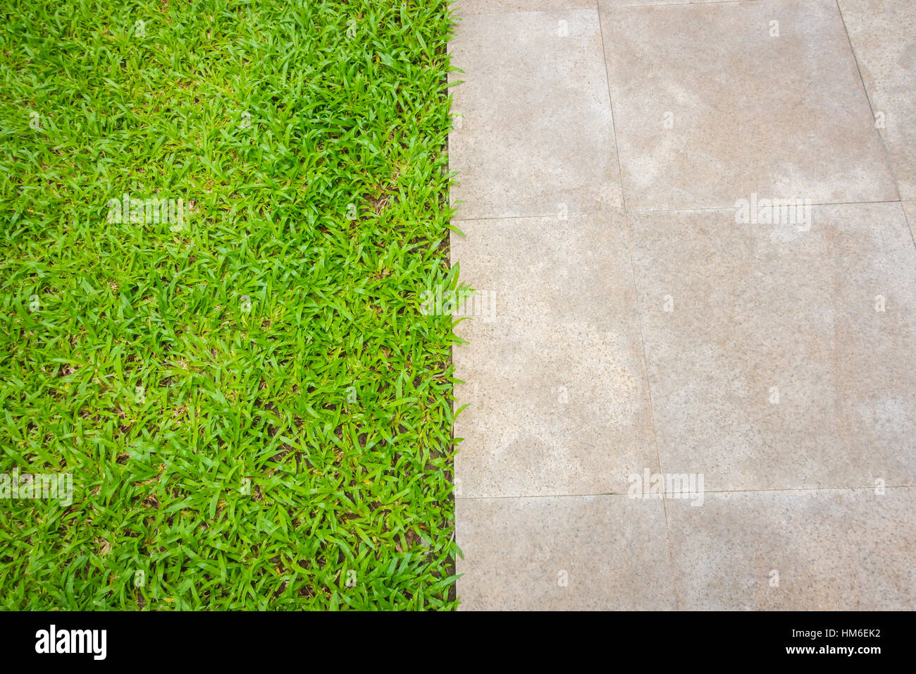 The walk path in the park with green grass Stock Photo - Alamy