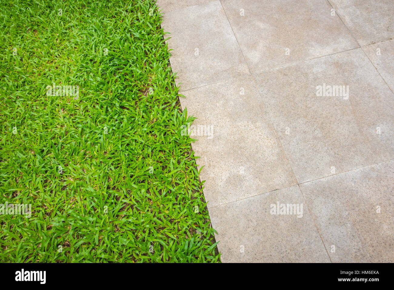 The walk path in the park with green grass Stock Photo - Alamy