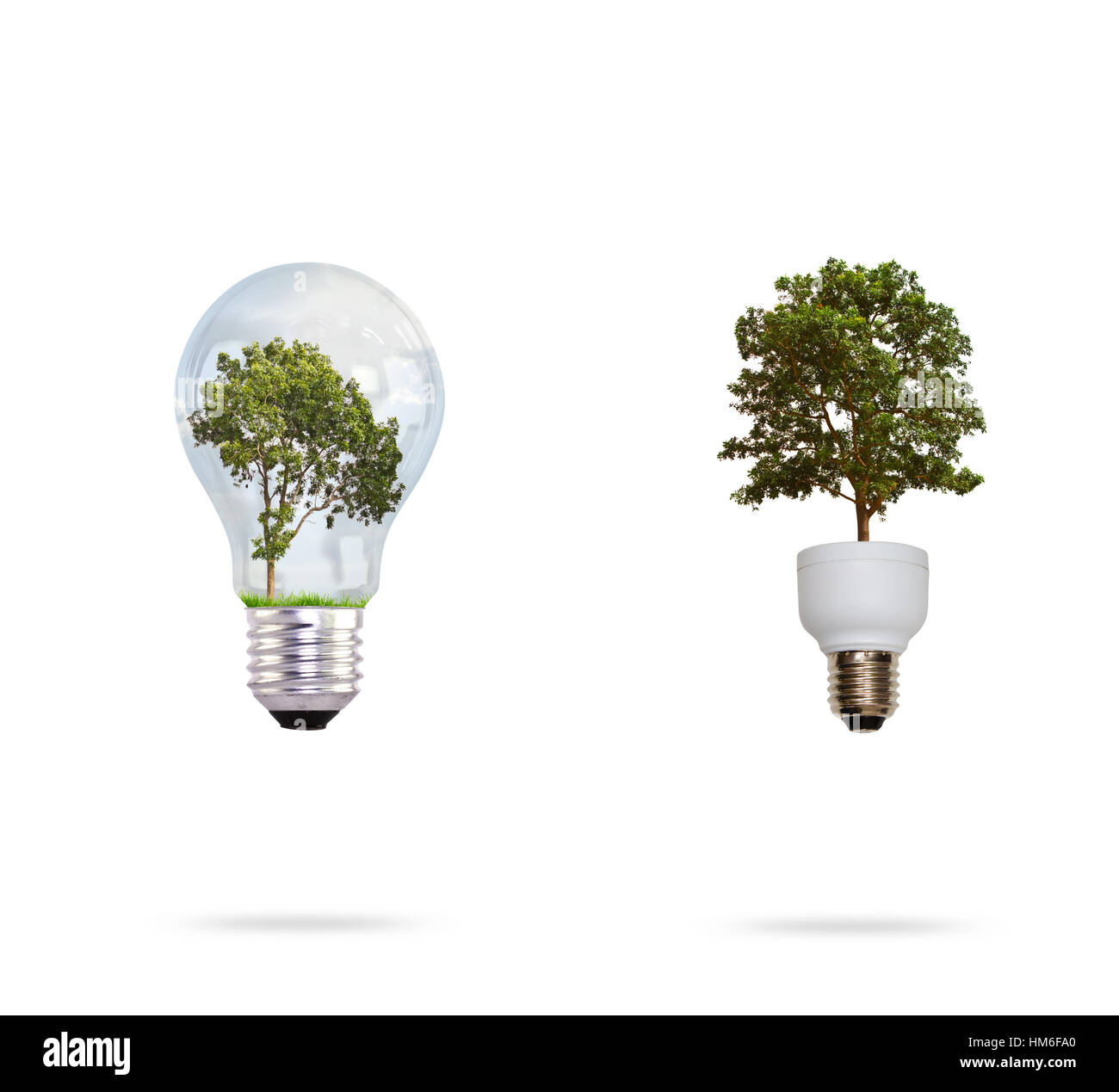 Green tree growing out of a bulb Stock Photo - Alamy