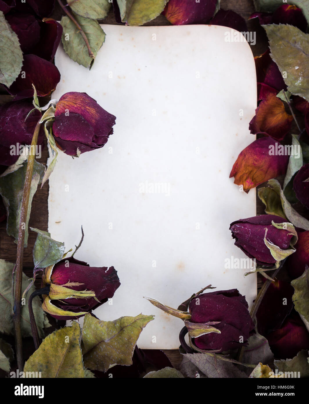 Vintage paper and dried rose Stock Photo - Alamy