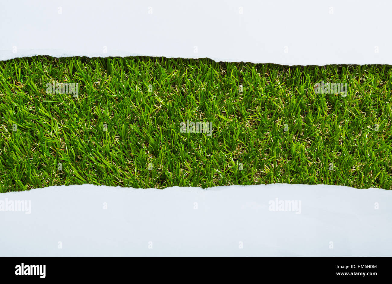 Ripped paper on green grass background Stock Photo - Alamy