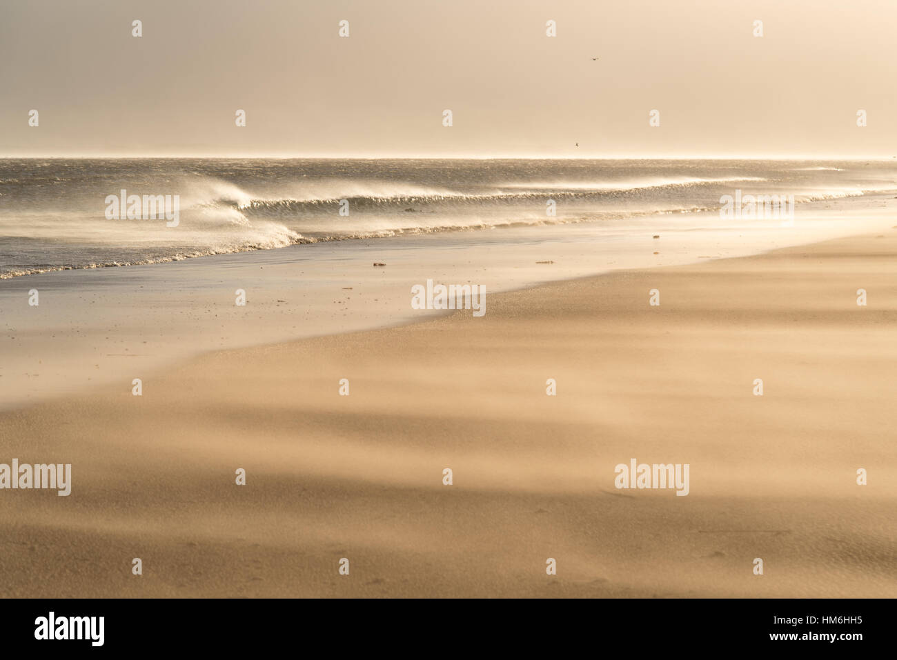 wild windswept beach in scotland with blowing sand and waves Stock ...