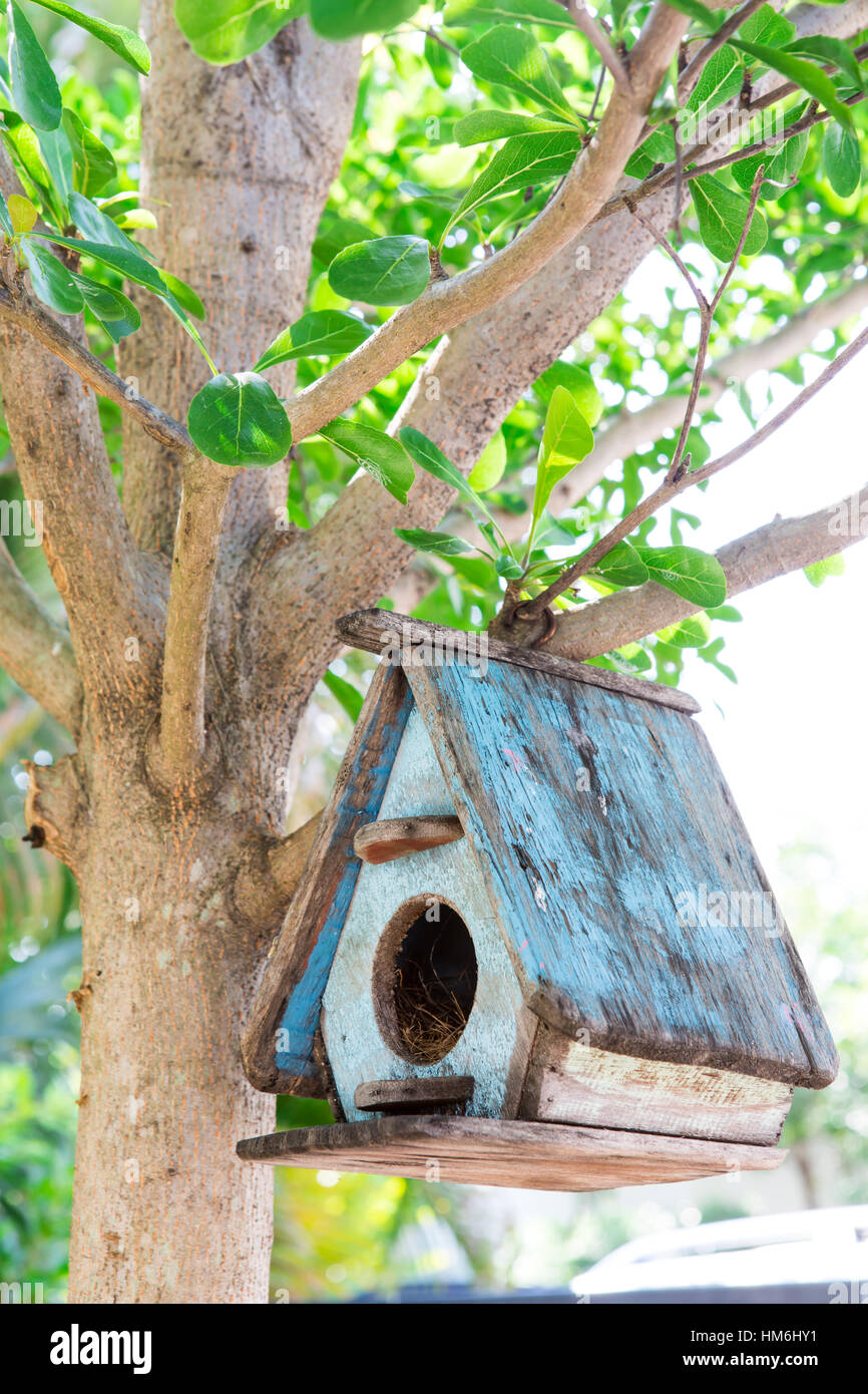 Bird House on a tree Stock Photo - Alamy