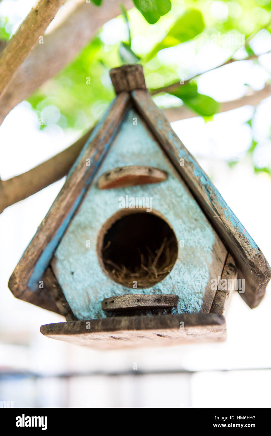 Bird House on a tree Stock Photo - Alamy