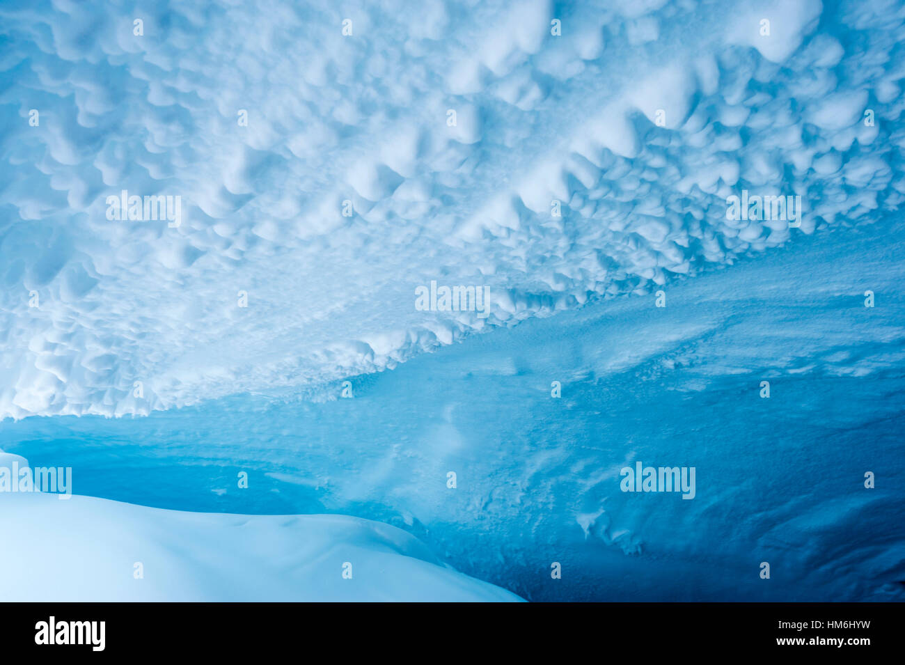 The frozen ceiling and icy walls of an ice cave in the Erebus Glacier ...