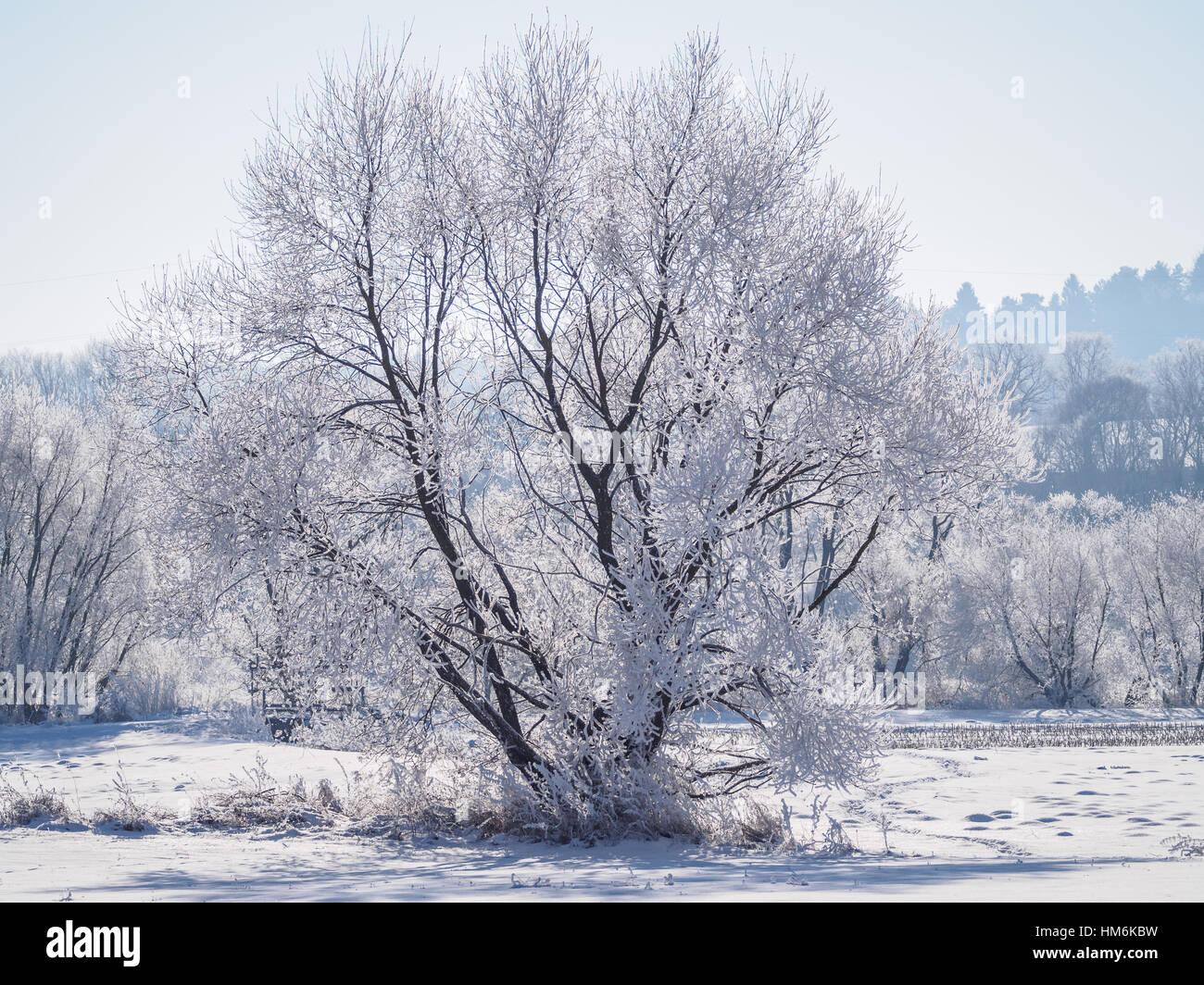 Frost landscape hi-res stock photography and images - Alamy