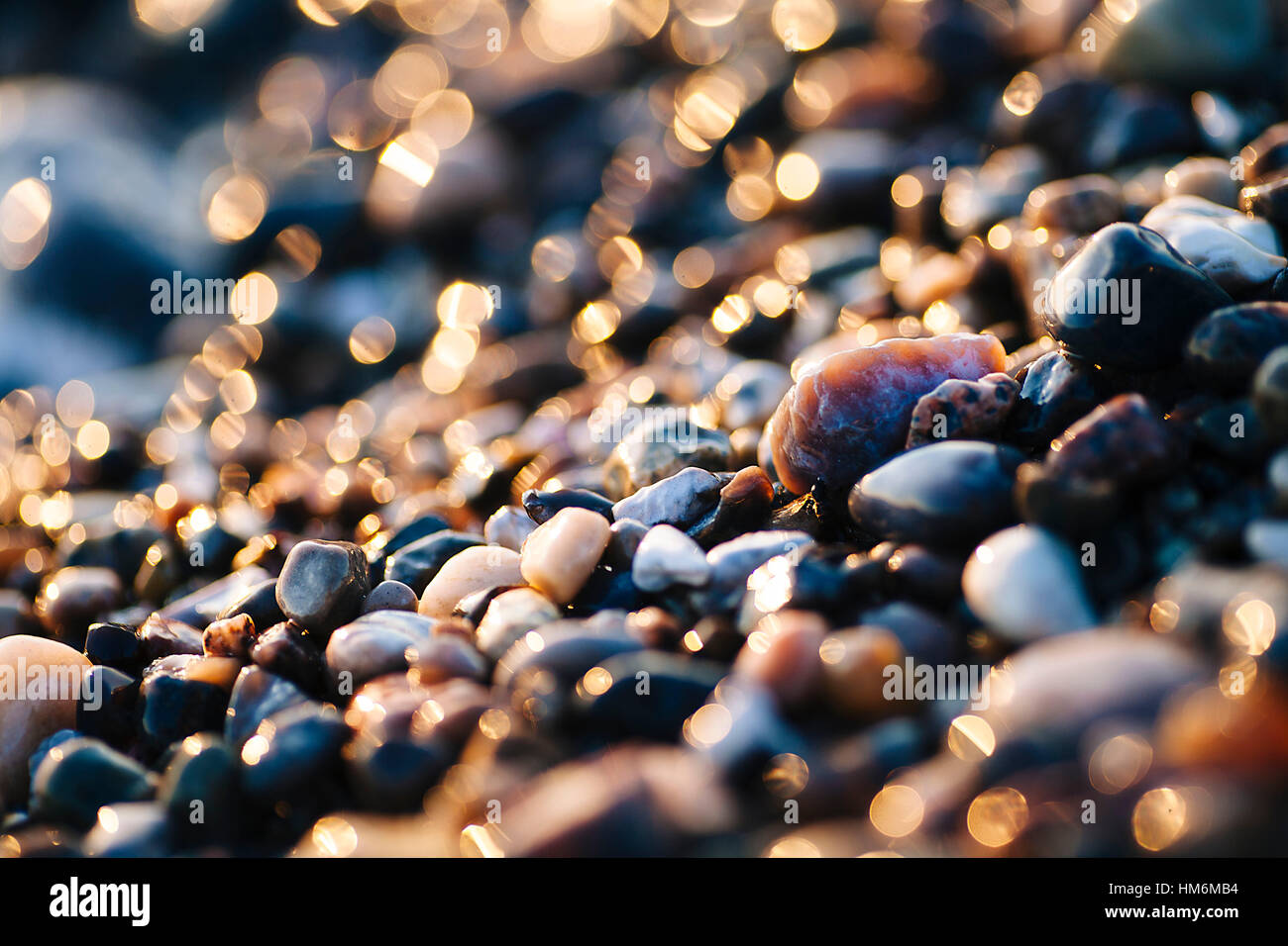 Detailed view pebbles on beach hi-res stock photography and images - Alamy