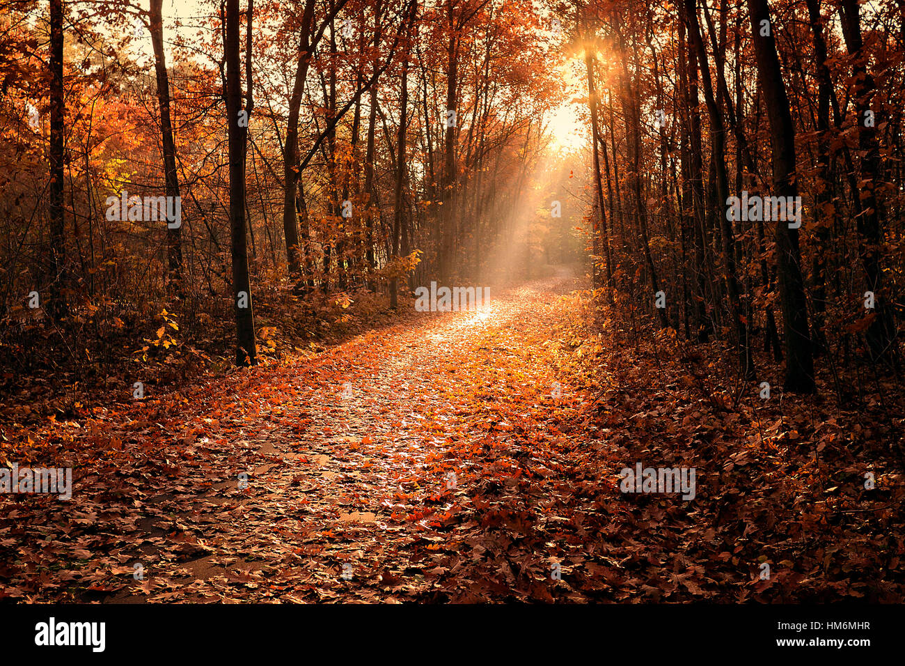 Shining path hi-res stock photography and images - Alamy