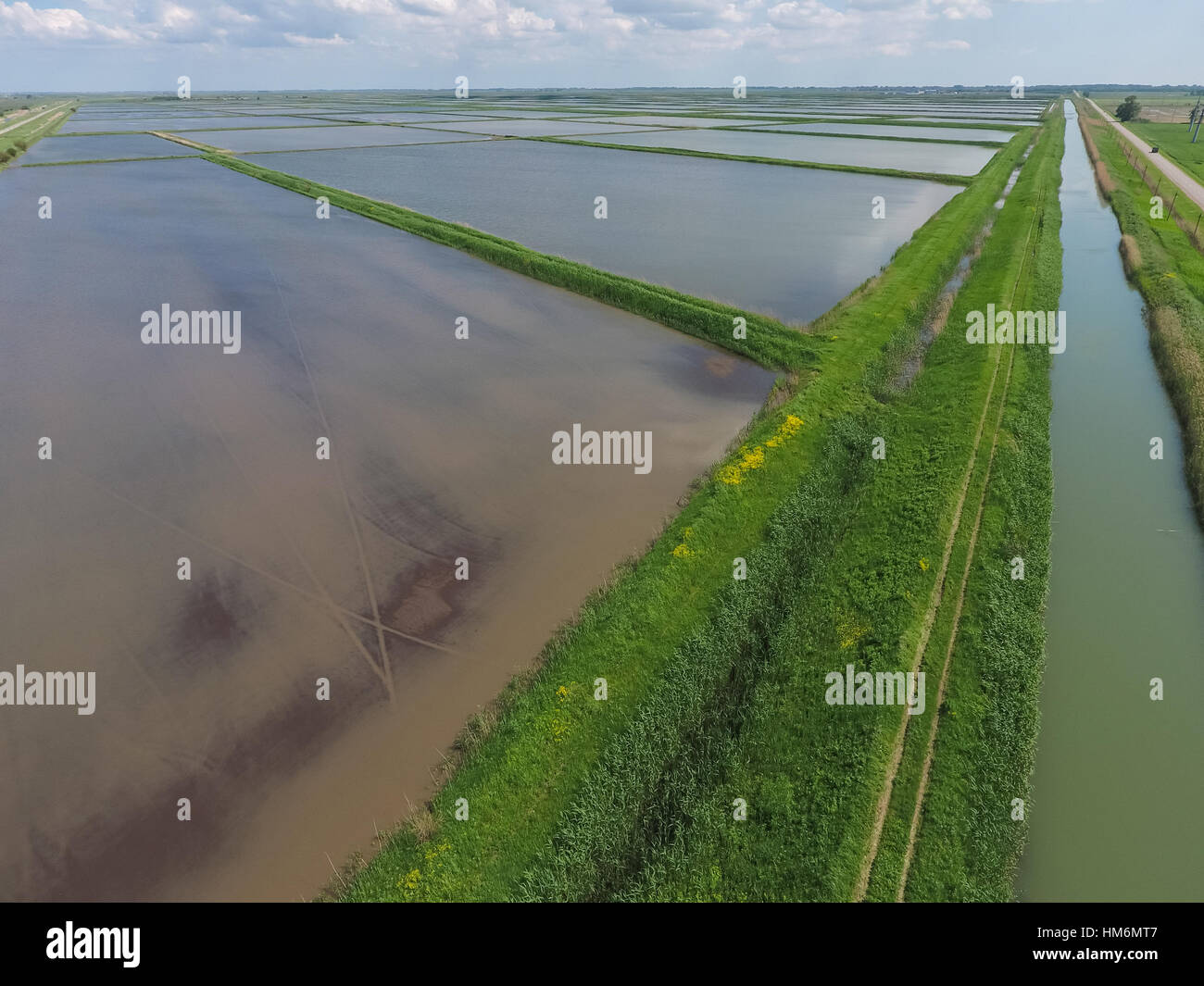 Flooded rice paddies. Agronomic methods of growing rice in the f Stock ...