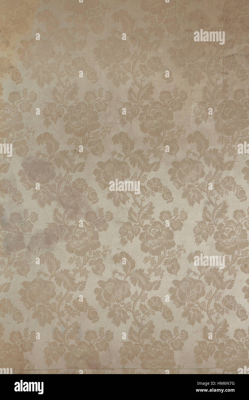 old shiny wallpaper with baroque and antique pattern of flowers, beige ...